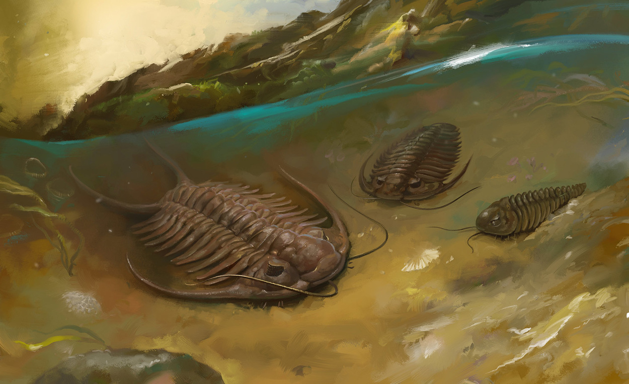 Trilobites. Natural Environment - The Art of Eldar Zakirov